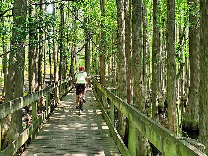 Pedaling through a cypress forest on a wooden boardwalk is the kind of thing you'll talk about for years.