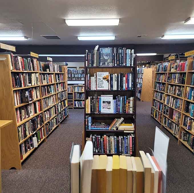 Multiple levels of shelves mean the deeper you go, the better it gets. Consider yourself warned.