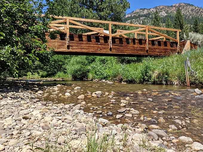 This footbridge spans rushing water like something from a Bob Ross painting, minus the happy little accidents.
