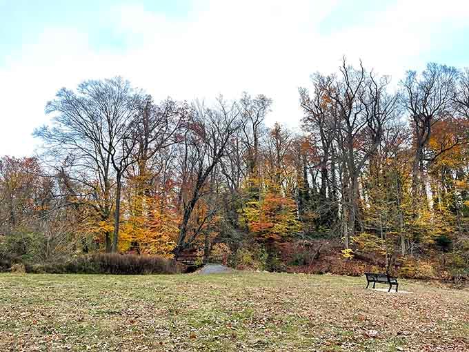 Pennypacker Park in autumn is the kind of scene that makes you want to cancel all your plans immediately.