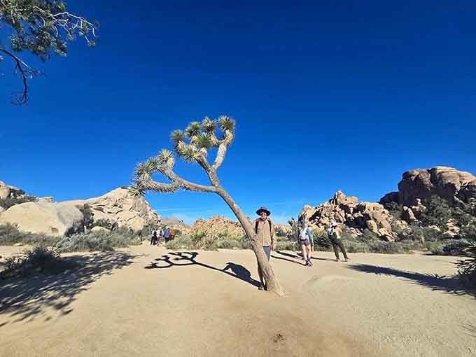 Fellow adventurers pause to appreciate nature's handiwork, because some views demand a moment of silence.