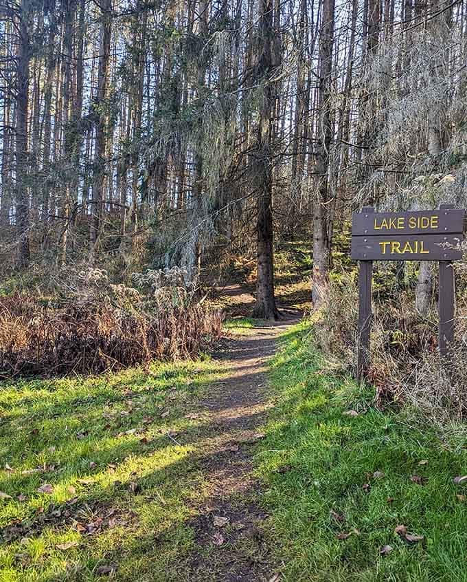 The Lakeside Trail doesn't ask much from you. Just your time and a decent pair of shoes.