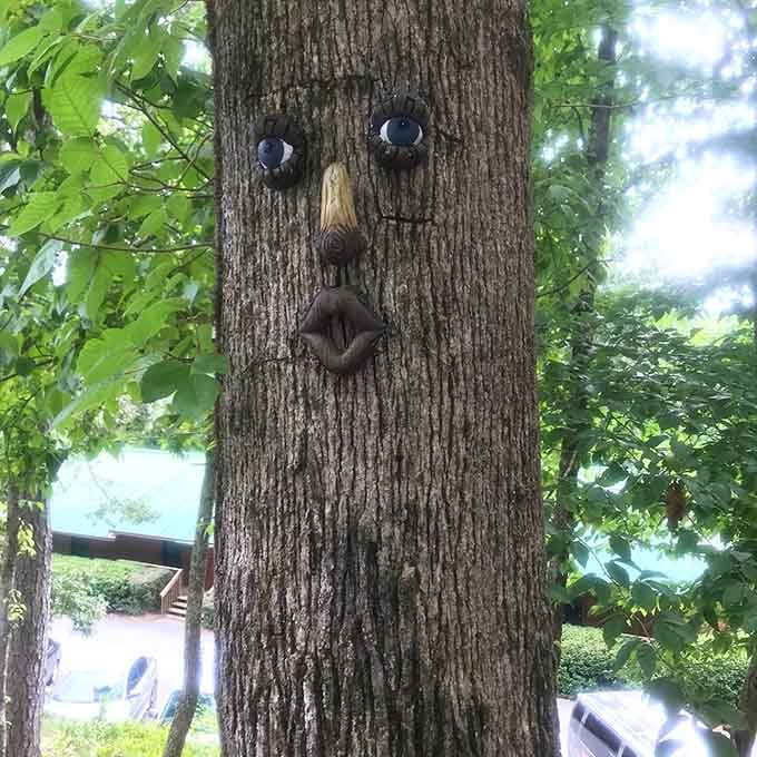 Even the trees have personality here, sporting whimsical faces that'd make the Wizard of Oz's forest seem downright boring.