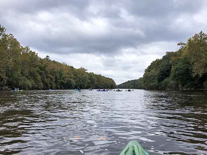 Even cloudy days on the Lehigh River deliver scenery that makes you grateful you didn't stay home on the couch.