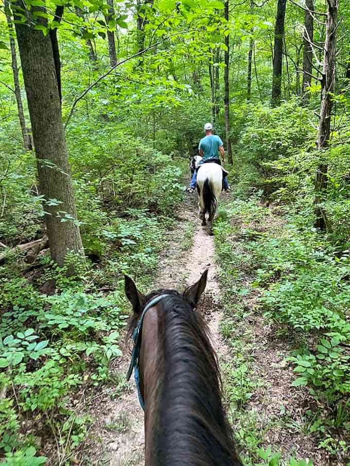Exploring these forest trails on horseback is the closest most of us will ever get to a proper western adventure.