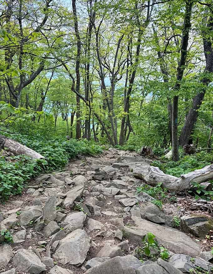Rocky doesn't begin to describe it, but your hiking boots signed up for this exact kind of adventure.