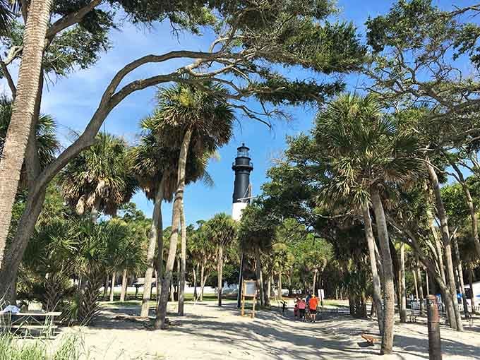 Through the palms and pines, the lighthouse appears like a reward for anyone patient enough to walk toward it.