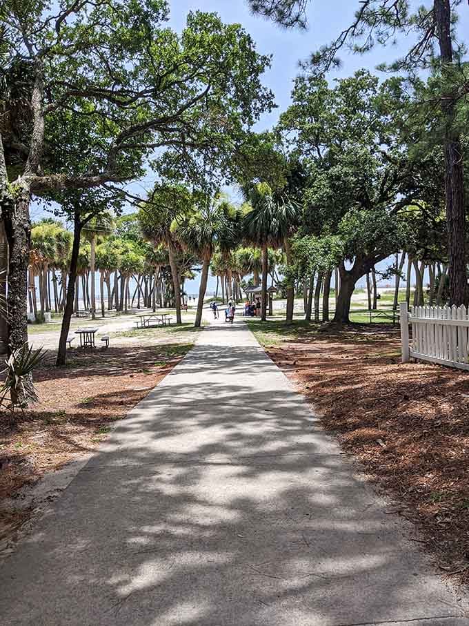 Shaded paths like these prove that Southern hospitality extends to providing relief from that relentless summer sun.