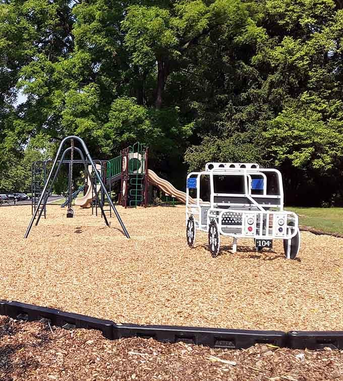 A playground tucked under the trees, where the next great adventure begins approximately thirty seconds after arrival.