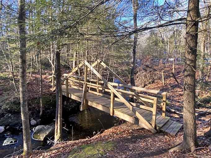 A wooden footbridge in the middle of the woods feels like crossing into a completely different world. Spoiler: you kind of are.