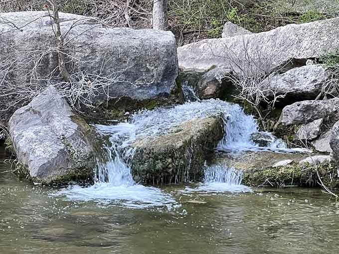Barton Creek moves at its own pace, and honestly, that's a lesson worth learning.