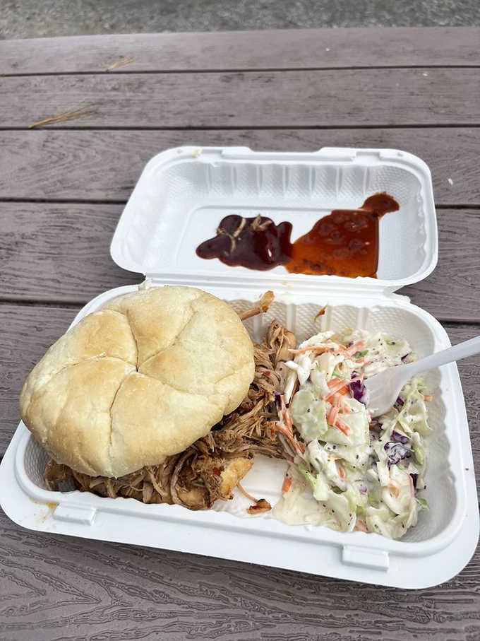 Pulled pork on a bun with coleslaw alongside, a complete meal that needs absolutely nothing else.