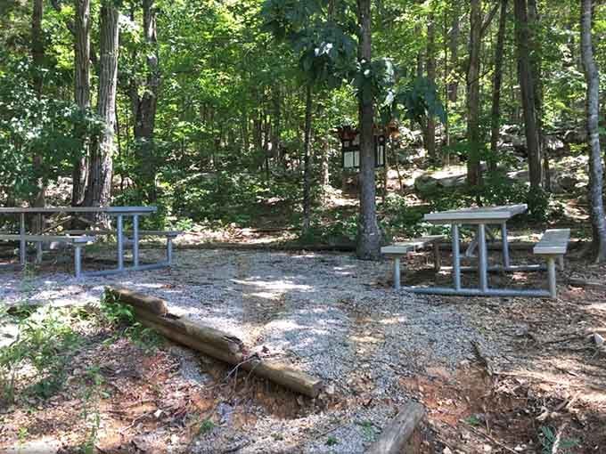 Shaded picnic spot perfect for sandwiches and contemplation, where chipmunks provide free entertainment between bites of lunch.