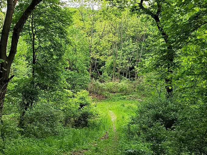 Deep green and gloriously overgrown, this natural trail section feels like stepping into your own private forest.