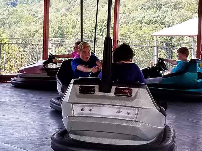 Nobody gets out of bumper cars without laughing, and that's just a universal law of physics.