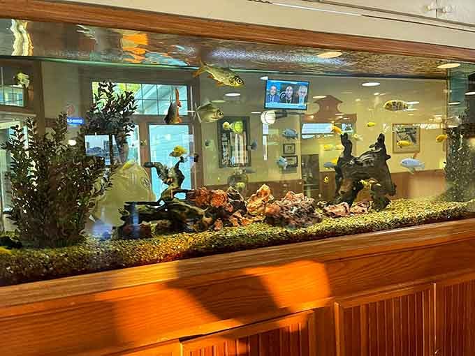 The aquarium adds underwater entertainment while you wait, because even fish appreciate good seafood restaurants.
