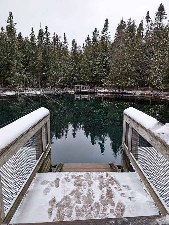 Snow on the dock, open water below. Kitch-iti-kipi doesn't take winters off, and neither should you.
