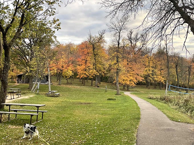 Picnic tables, autumn trees, and a dog on a leash who clearly knows exactly where the good life is.