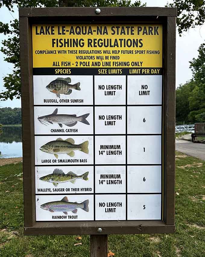 The fishing regulations board reads like a menu of possibilities, bluegill, catfish, bass, walleye, and rainbow trout all on the list.