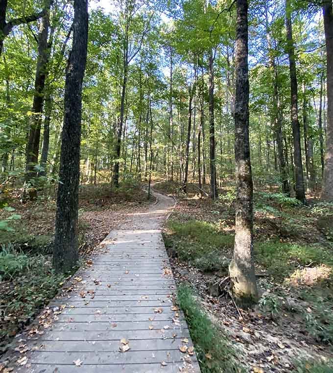 This wooden boardwalk trail is basically nature's way of rolling out the welcome mat, just with better scenery.