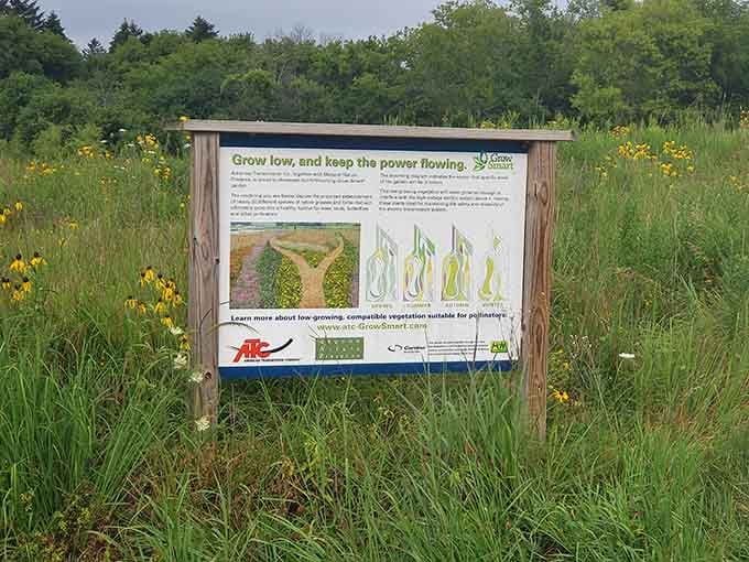 The Little-Known Wisconsin Nature Preserve That Locals Are Keeping All ...