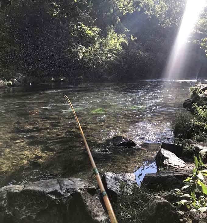 Sunlight dancing on crystal water while your line drifts downstream. This is what Saturdays were invented for.