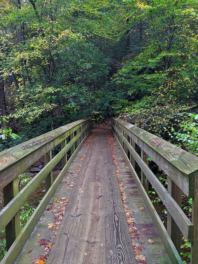 A bridge in autumn that looks like it was decorated specifically for your Instagram feed, nature showing off again.