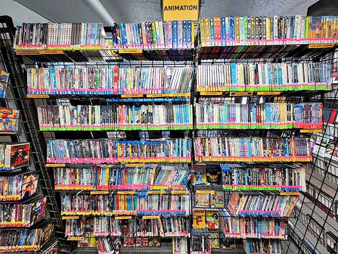 The animation section alone could keep families entertained through multiple rainy Portland winters and then some.