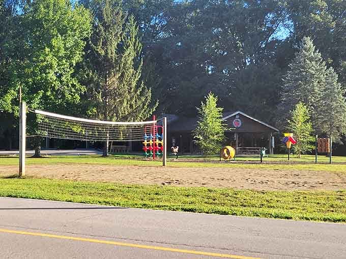 Sand volleyball, a playground, and tall trees overhead. This is where good family memories get made.
