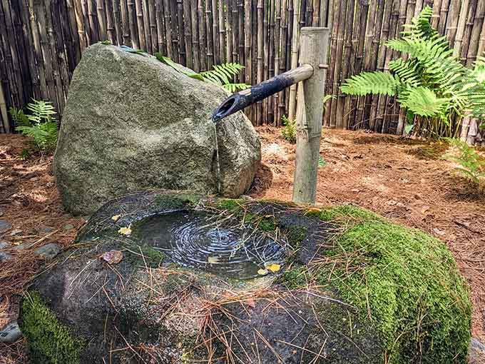 Water trickling from bamboo into stone. Simple, ancient, and somehow more calming than anything on your meditation app.