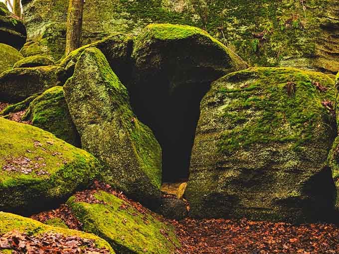 A dark gap between moss-draped boulders that whispers "come explore" while your sensible side whispers "maybe bring a flashlight."