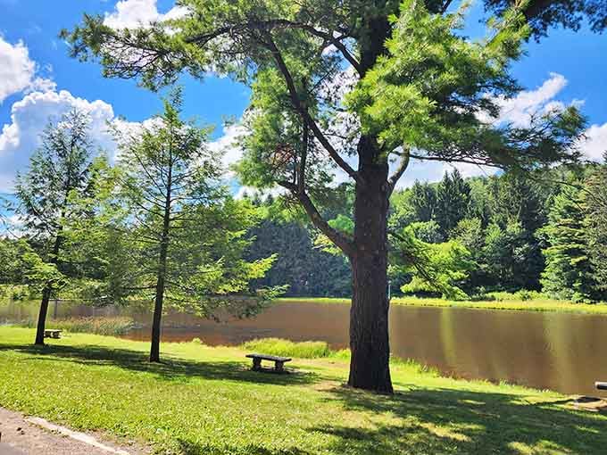 Lakeside picnic spots offer front-row seats to nature's daily show, no ticket purchase necessary for admission.