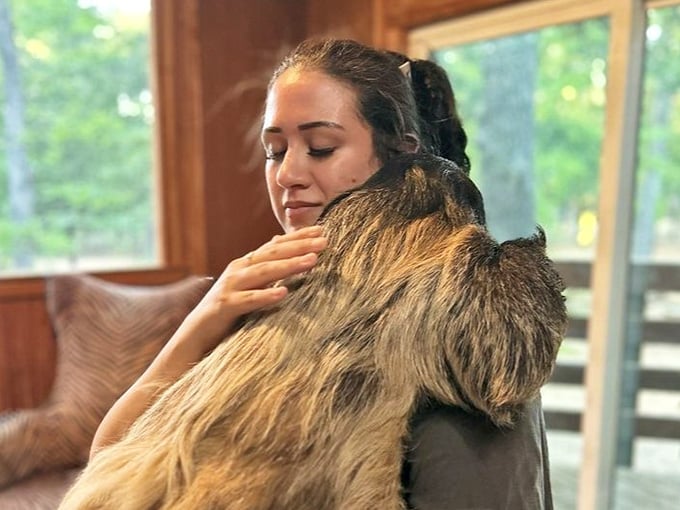 Hugging a sloth after dinner might be the most unexpectedly wholesome experience you'll have this year.