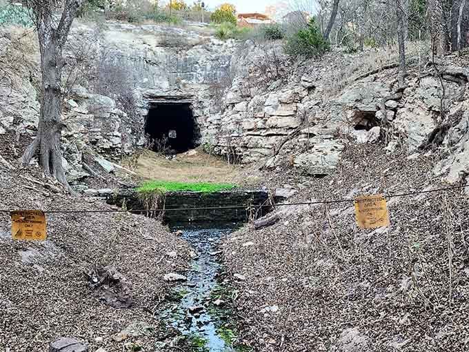 The tunnel entrance looks like something from a fairy tale, except the dragons here have wings and eat mosquitoes.