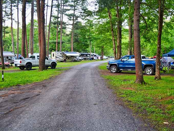 Tall pines, gravel paths, and campsites that feel like they were designed by someone who actually loves the outdoors.