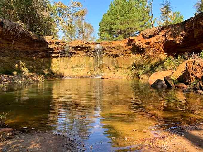 Wolf Creek Lake's red rock formations create swimming holes that feel like discovering your own private oasis.