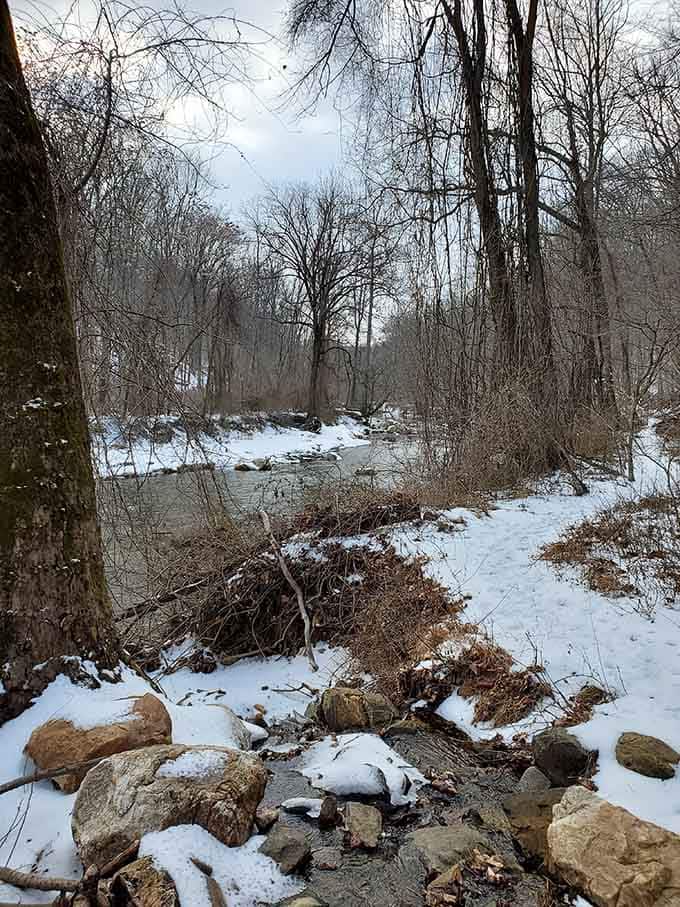 Winter transforms Palmer into a quiet gallery where snow does all the decorating work.