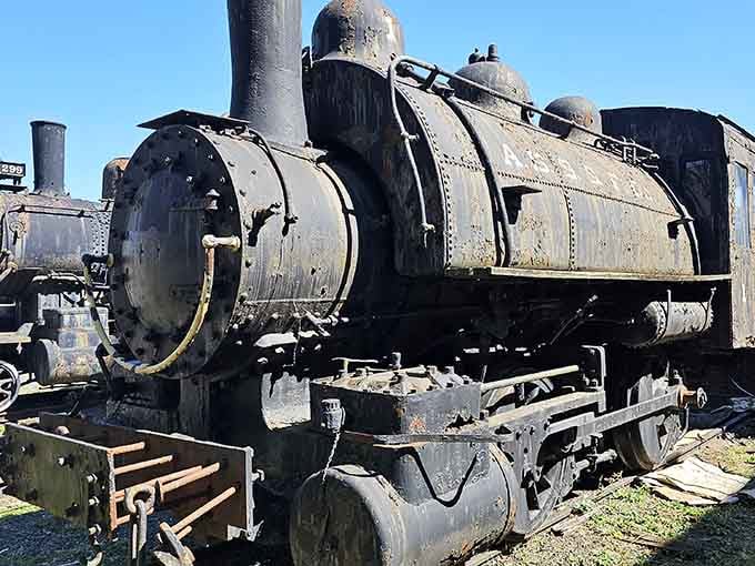 Rust, rivets, and raw power, this outdoor steam locomotive carries decades of hard work written across every weathered surface.