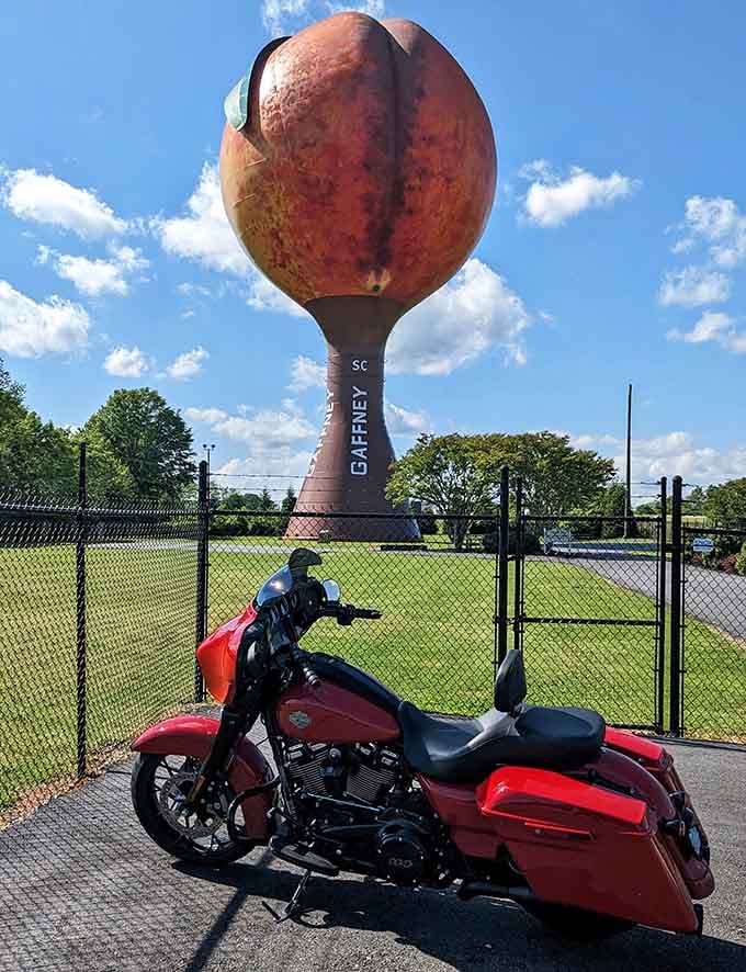 Two icons of the open road, a gleaming Harley and a giant peach, both built to turn heads magnificently.