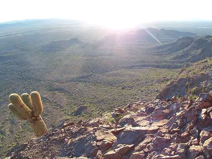 Standing on the rocky summit with a saguaro for company, the whole Sonoran Desert laid out below you.