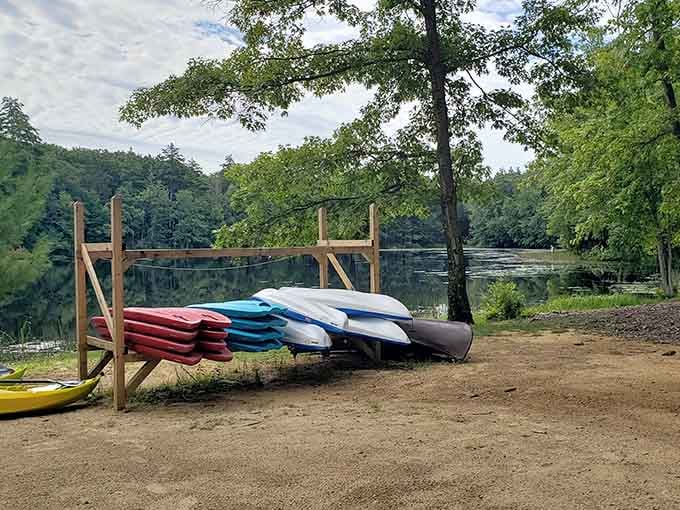 Kayaks and canoes stacked lakeside, ready to take you somewhere wonderfully quiet.