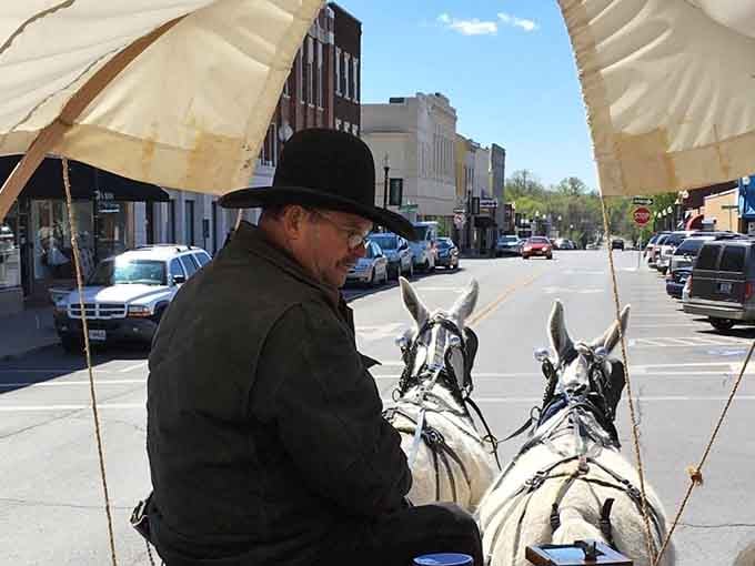 From this angle, you realize the mules are basically co-pilots. Experienced, unbothered, and completely in charge of the pace.