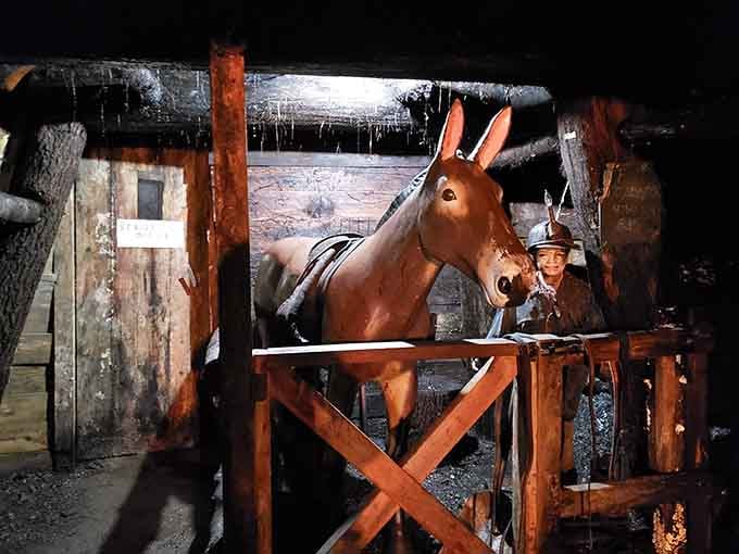 Before machines took over, mules like this one were the real workhorses of Pennsylvania's underground coal operations.