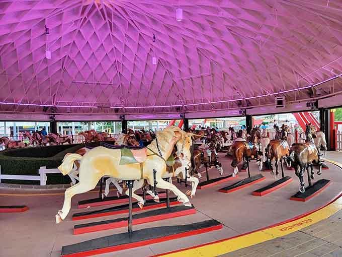 Under a glowing pink dome, the carousel horses stand frozen mid-gallop, each one carved with the kind of craftsmanship nobody rushes anymore.