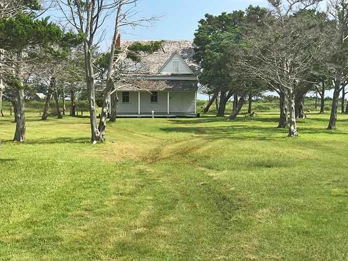 A white cottage tucked among wind-bent trees, with a lawn so green it looks like the island dressed up for company.