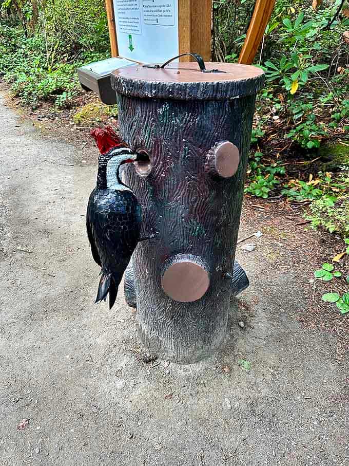 Even the donation box at Price Sculpture Forest is art, featuring a brilliantly detailed pileated woodpecker doing what woodpeckers do best.