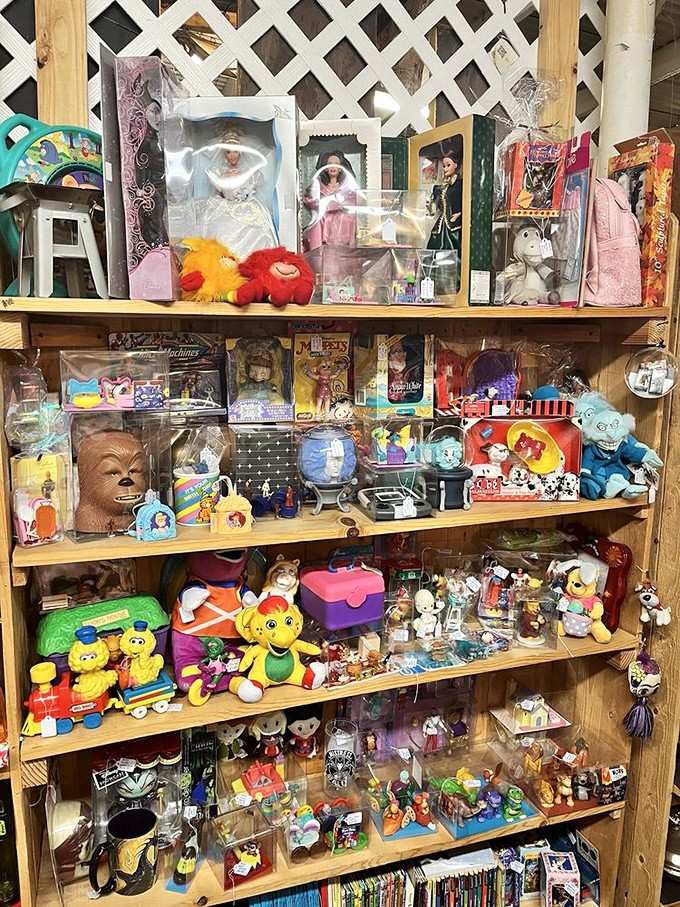 Chewbacca, Muppets, Barbie, and Big Bird all sharing shelf space, which is honestly the crossover event nobody knew they needed.