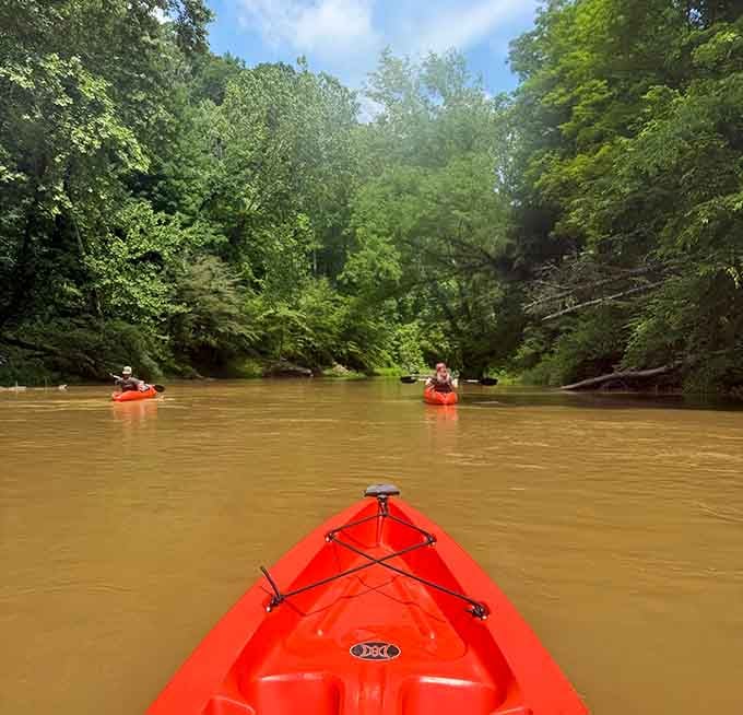 Gliding along a quiet river surrounded by towering trees is the kind of peace your soul has been requesting.