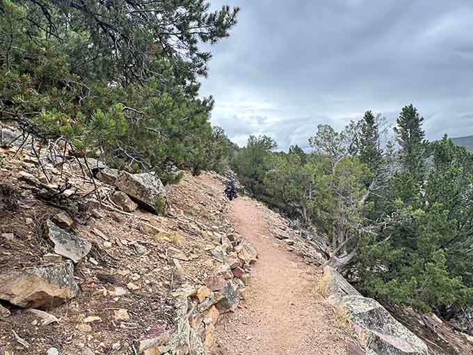 Rocky singletrack winds through pinon and juniper, the kind of trail that rewards effort with serious scenery.