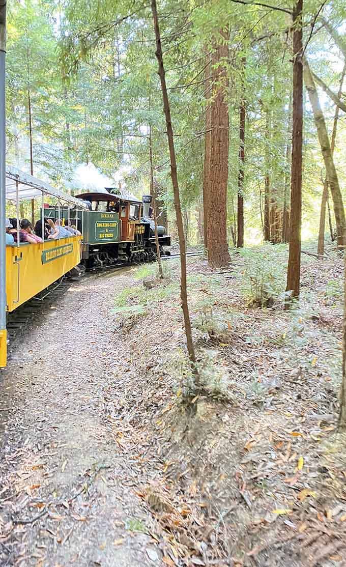 The Dixiana pauses in the forest like it owns the place. Honestly, after all these years, it kind of does.